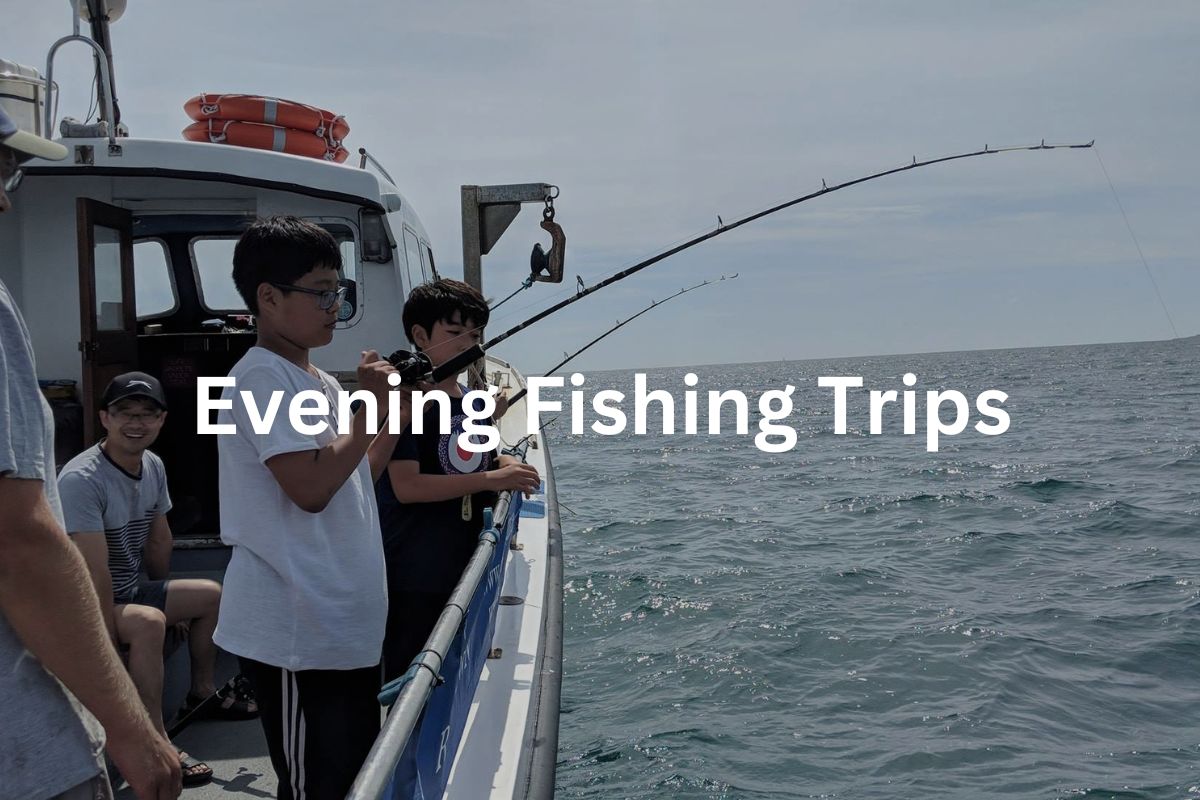 Evening Fishing Trips | Boat Fishing Trips from Weymouth